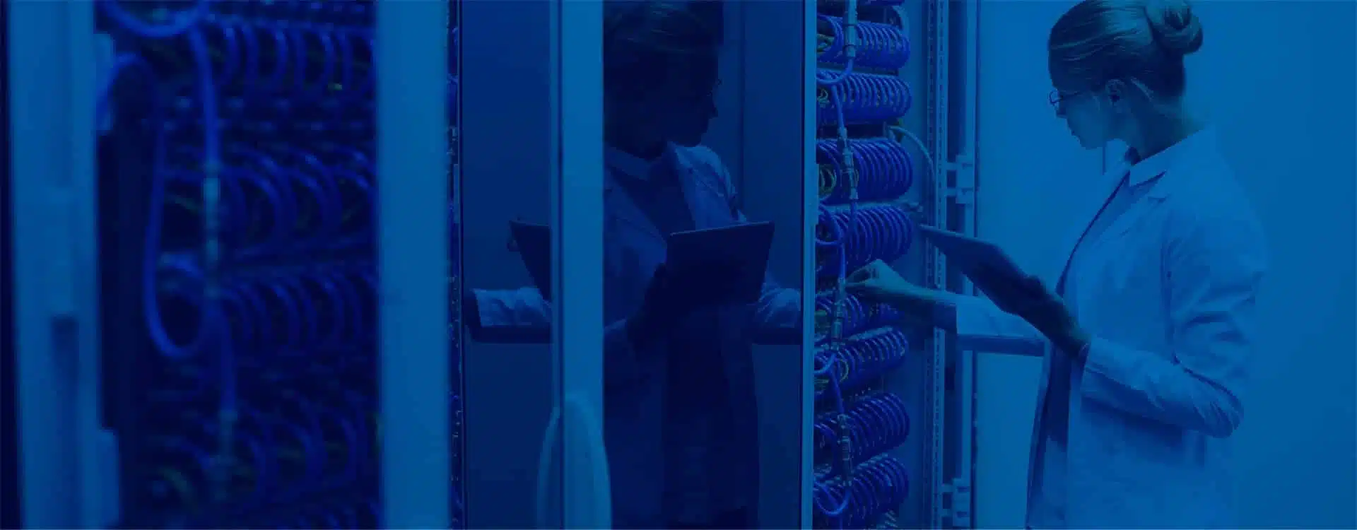 IBM, HCL, and VMware Software Experts | Origina